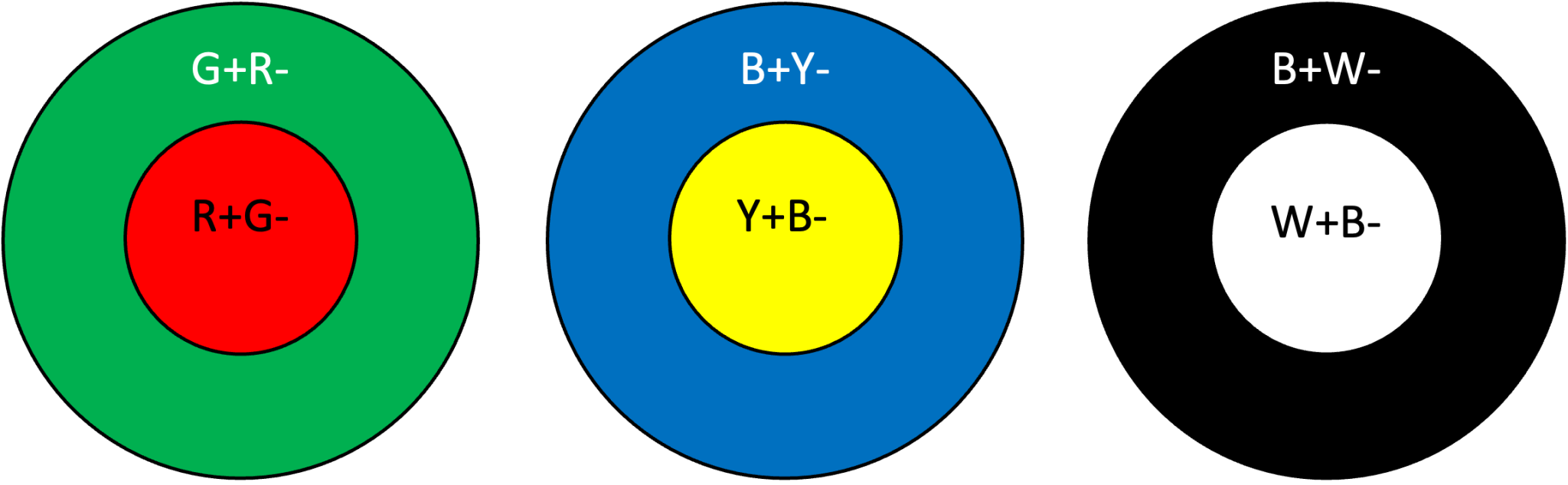 What’s the Difference? – Interdisciplinary Explorations of Neuroscience